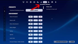 Controls for Fortnite - Ensigame