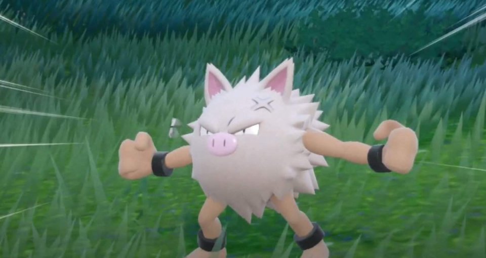 Best Fighting type Pokémon - Ensigame