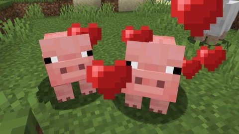 The best methods of gaining experience in Minecraft - Ensigame