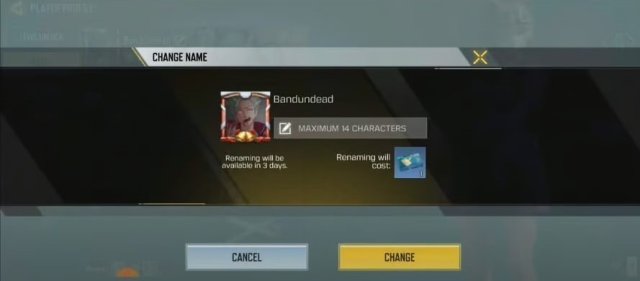 CoD: the best nickname options - Ensigame