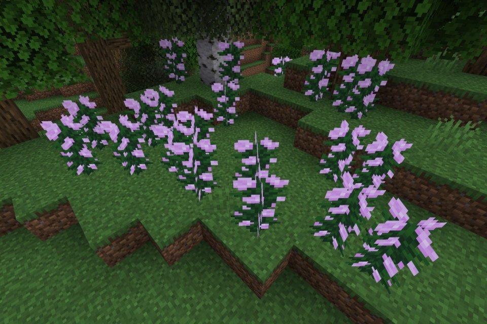 The best guide to flowers in Minecraft - Ensigame
