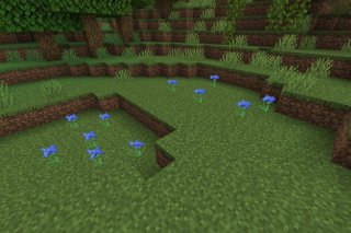 The best guide to flowers in Minecraft - Ensigame
