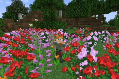 Minecraft characters - everything from friends to enemies - Ensigame