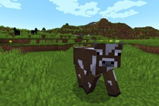 Minecraft characters - everything from friends to enemies - Ensigame