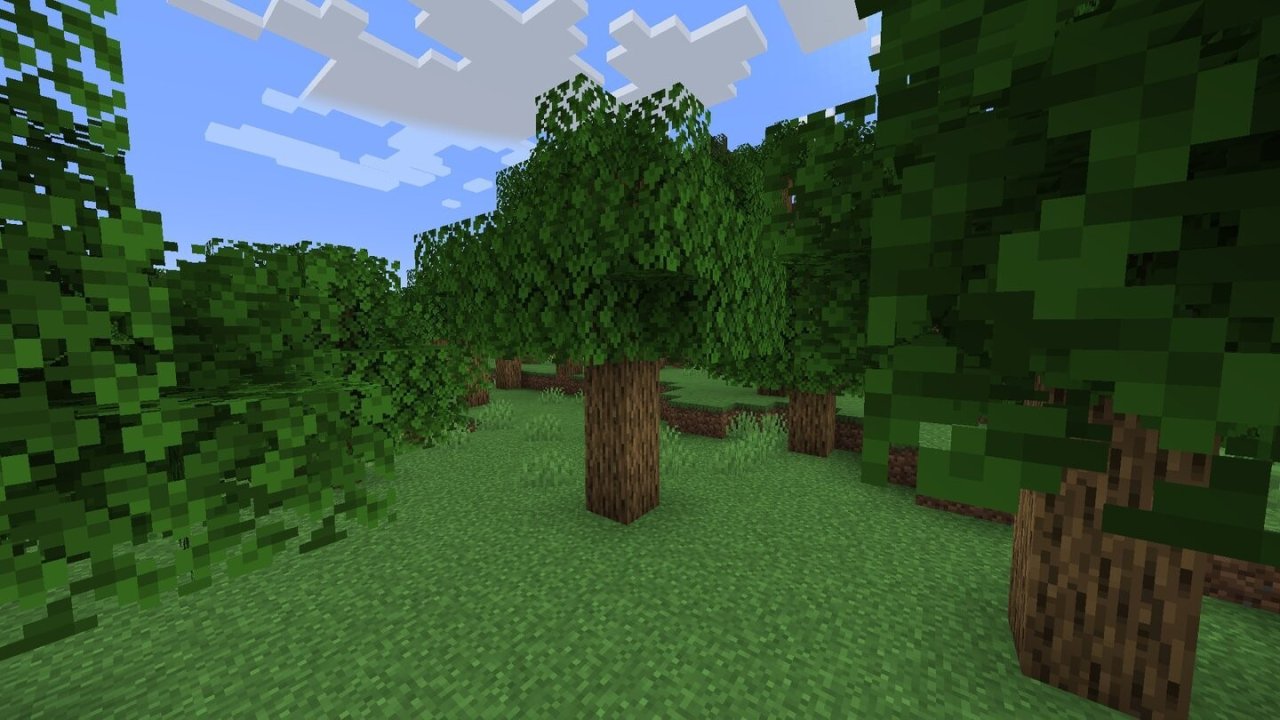 A variety of trees in Minecraft - a complete guide - Ensigame