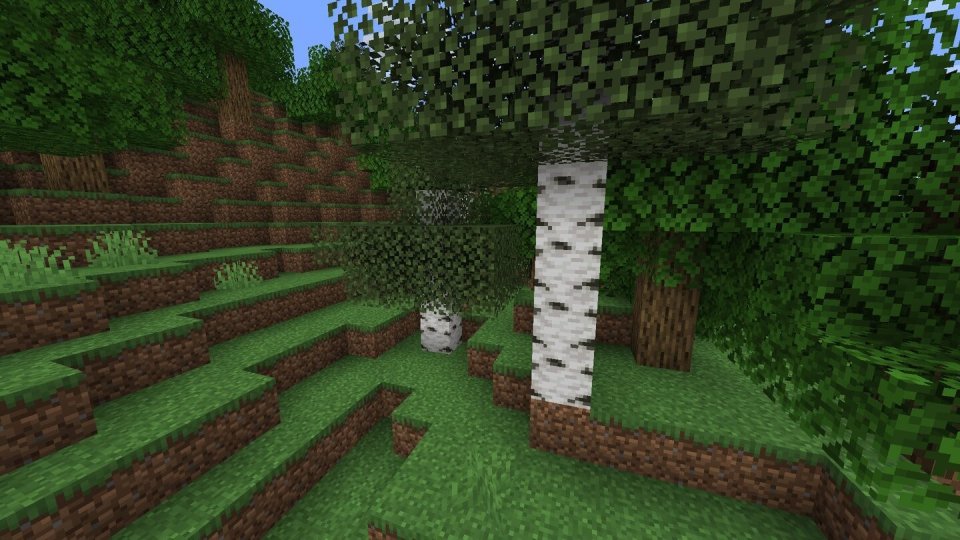A variety of trees in Minecraft - a complete guide - Ensigame