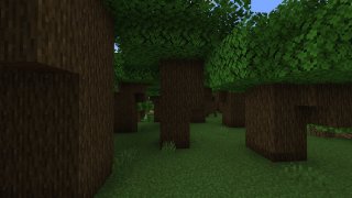 A variety of trees in Minecraft - a complete guide - Ensigame