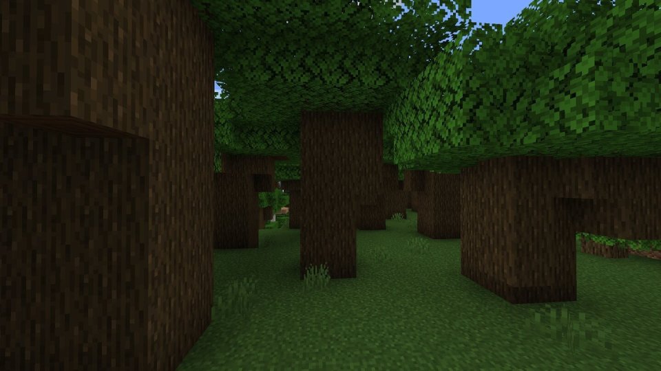 A variety of trees in Minecraft - a complete guide - Ensigame