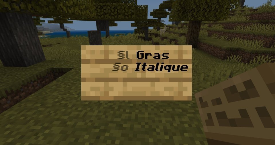 Comment utiliser les codes de couleurs dans Minecraft - Ensigame