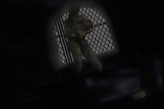 Symbolic appearance of monsters in Silent Hill - Ensigame
