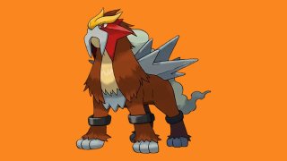 Top 30 des Pokémon de type feu que vous devez connaître - Ensigame
