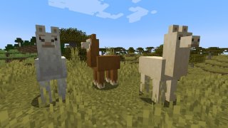 Traveling with Llamas in Minecraft - Taming and Uses - Ensigame