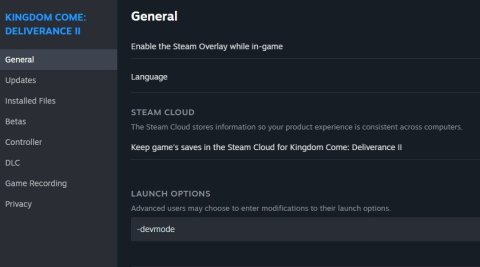 Cheat Codes in Kingdom Come Deliverance 2 - Ensigame