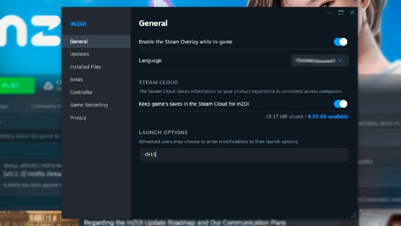 DirectX 12 error when launching inZOI - Ensigame