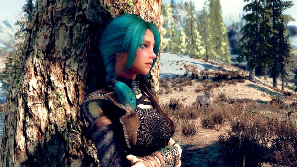 Best Mods for Skyrim - Ensigame