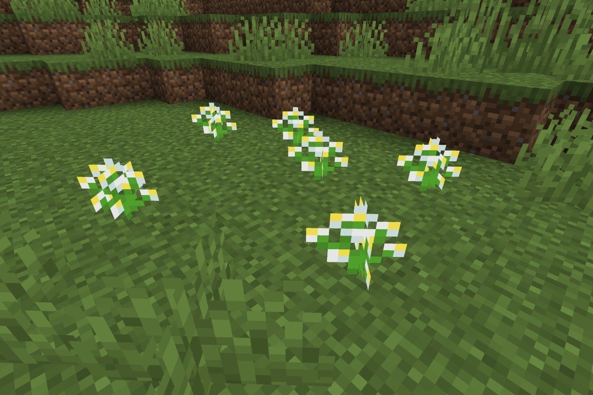 The best guide to flowers in Minecraft - Ensigame