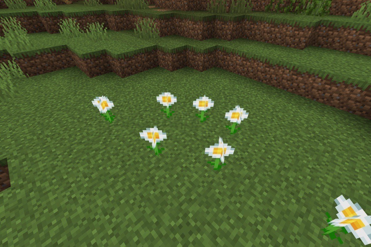 The best guide to flowers in Minecraft - Ensigame