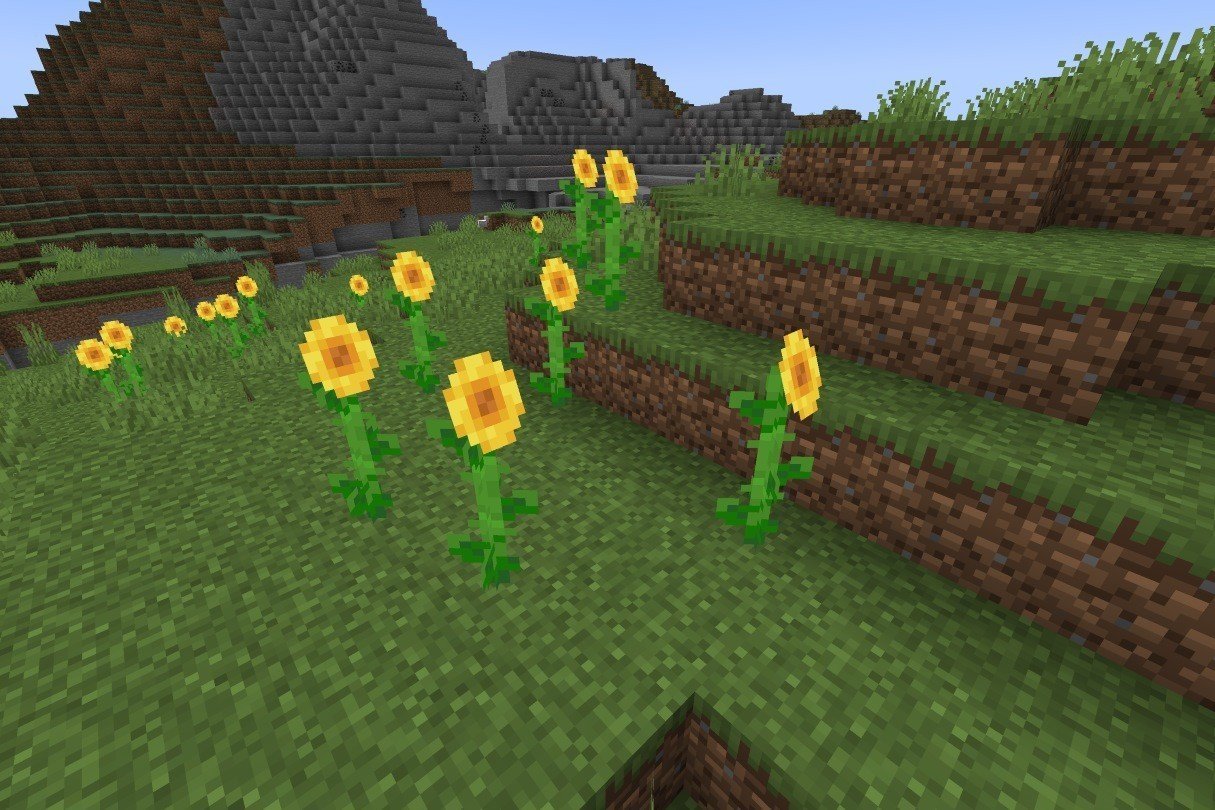 The best guide to flowers in Minecraft - Ensigame