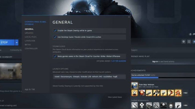 A Step-by-Step Guide: Best Launch Options For CS:GO - Ensigame