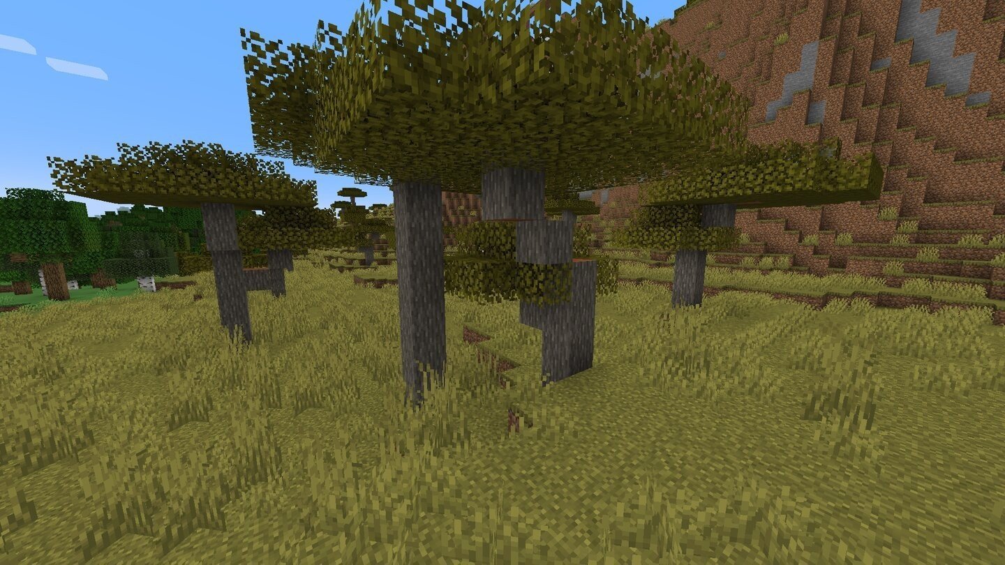 A variety of trees in Minecraft - a complete guide - Ensigame
