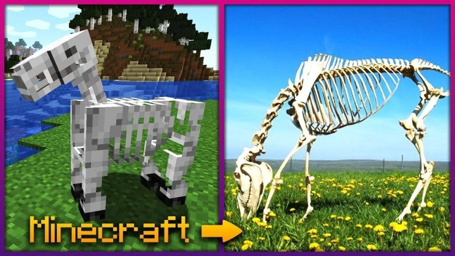 Minecraft - Become a Hell Rider Riding a Skeleton Horse - Ensigame