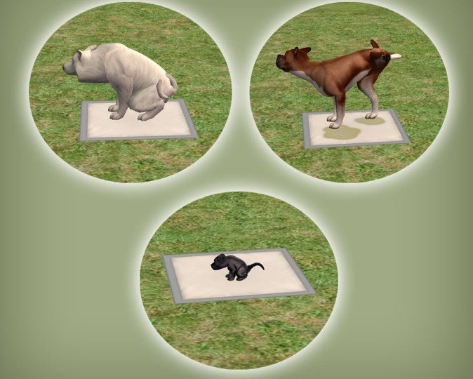 Top 30 mods for The Sims 2: diversify your gameplay - Ensigame